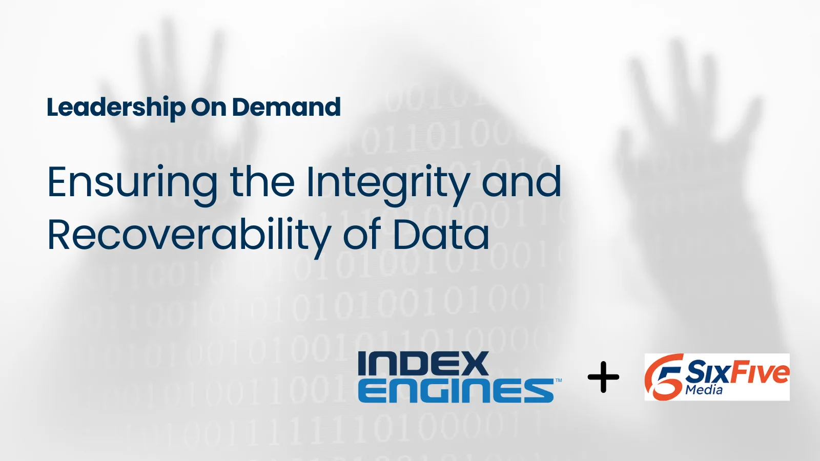 Ensuring the Integrity and Recoverability of Data